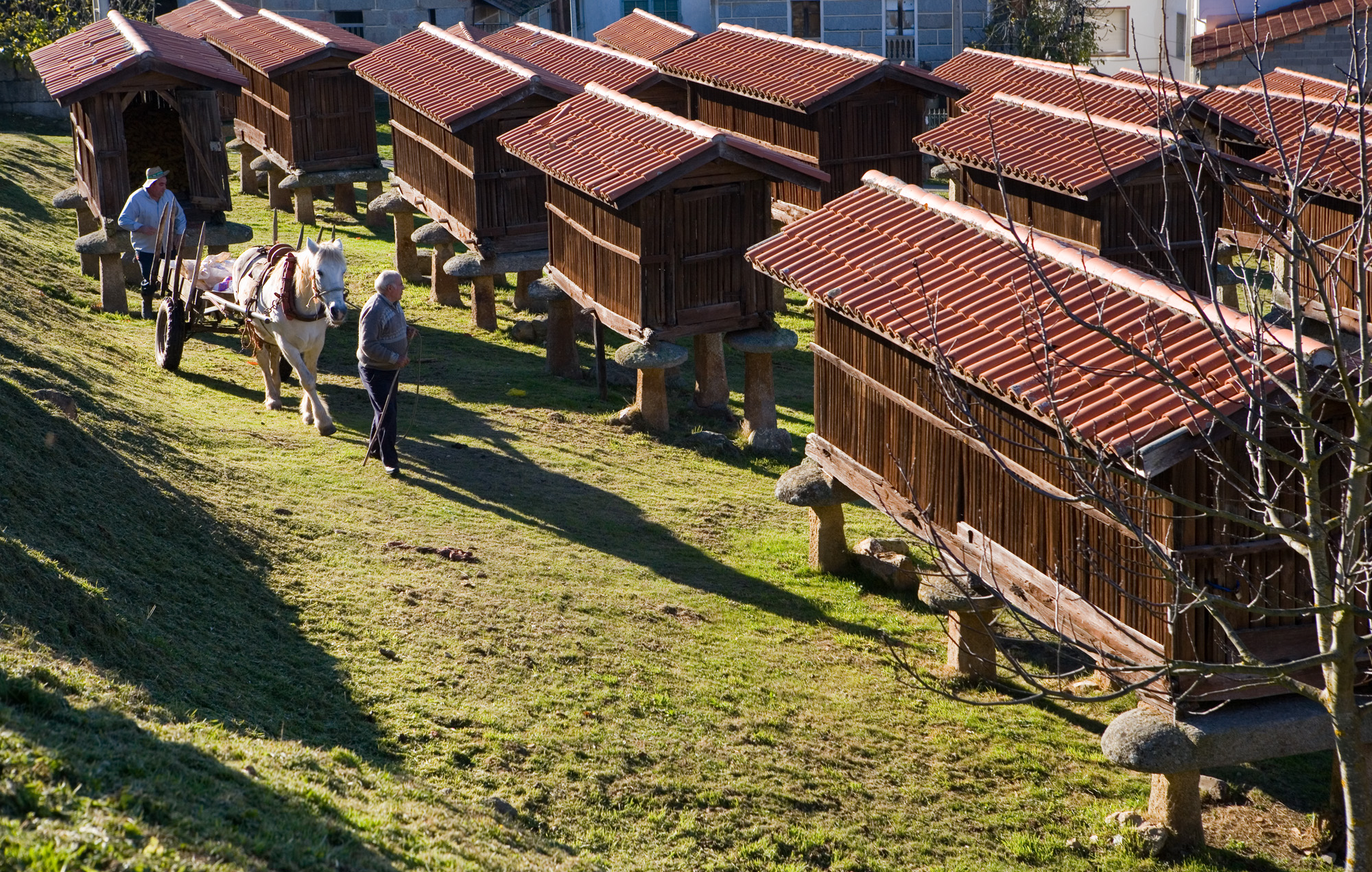 El Hórreo tradicional de Galicia | Guíate Galicia