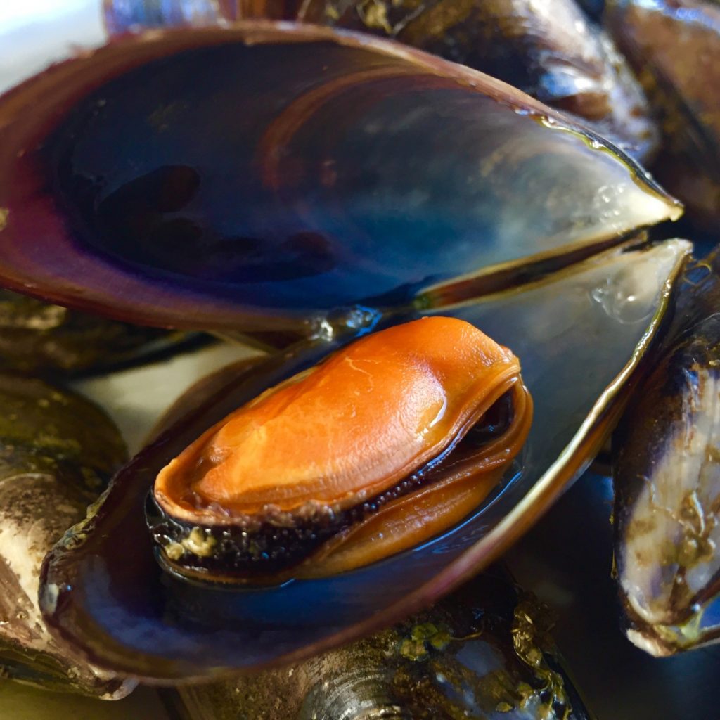 Mejillón de las Rías Gallegas | Guíate Galicia