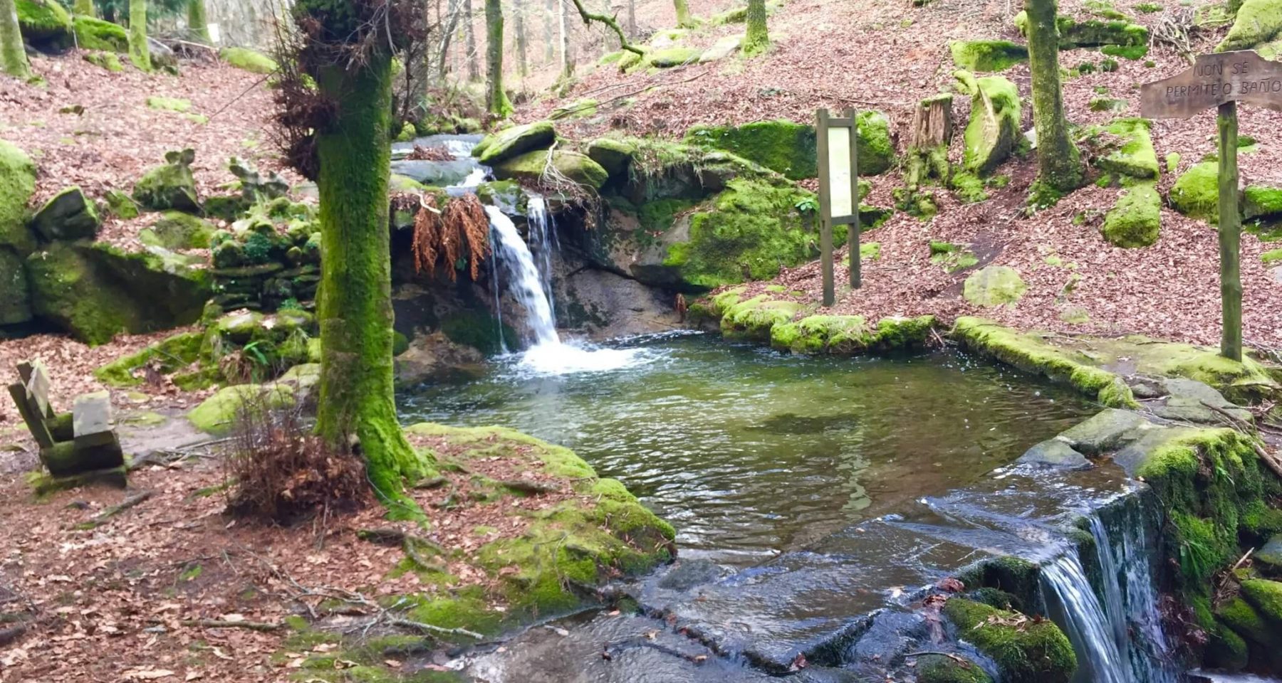 O Parque Natural do Monte Aloia, Tui | Guíate Galicia